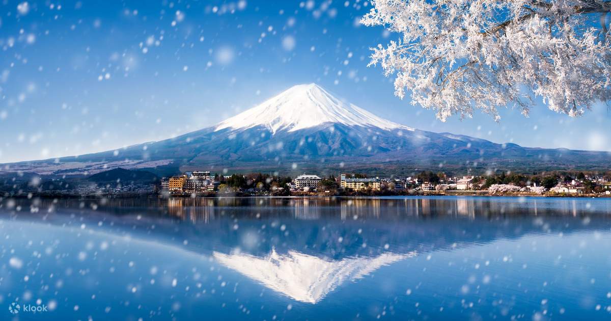 [Mt. Fuji & Hakone] Fujisan Yumeno Ohashi, Owakudani, Oshino Hakkai ...